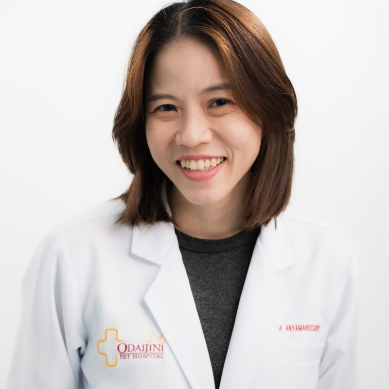 สพ.ญ. ศิริลักษณ์ ลัคนหัสพร – Odaijini Pet Hospital